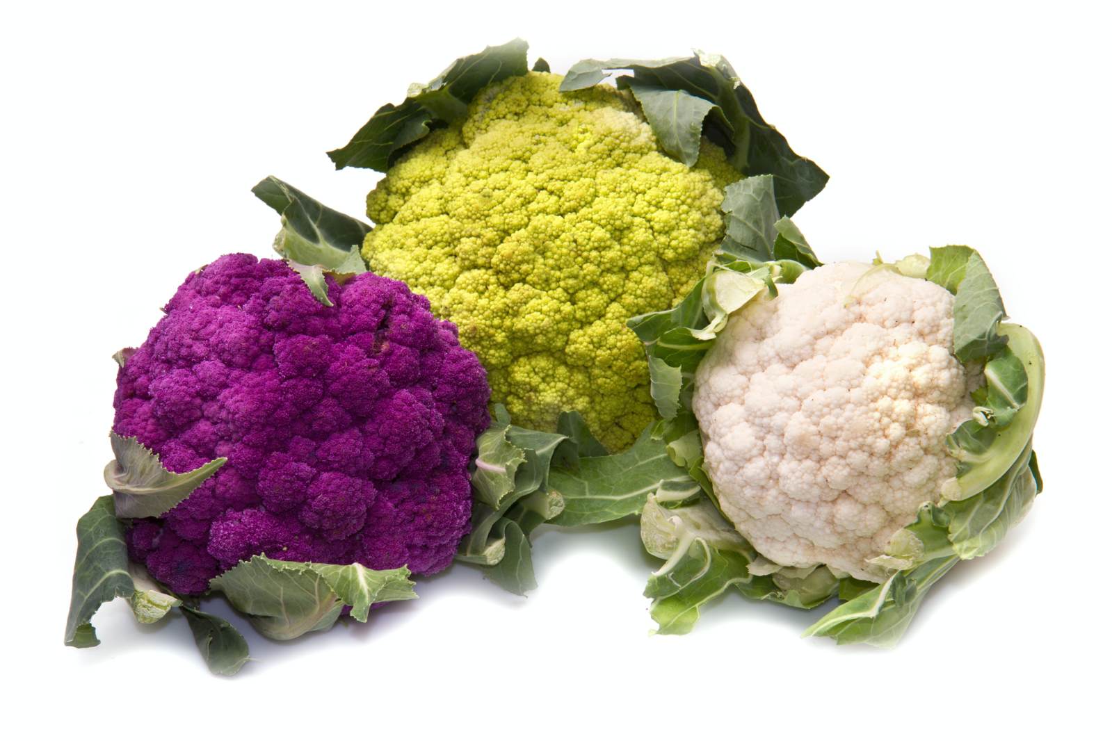 CAVOLFIORE (Brassica oleracea L. var. botrytis) - il mio cibo